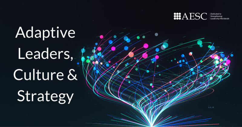 Middle East: Adaptive Leaders, Culture & Strategy | AESC